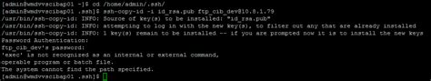 Linux Command To Copy Client Public Key To Windows Openssh Sftpssh Server Authorized Keys
