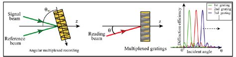 Angular Multiplexed Holographic Gratings In A Thick Medium Download