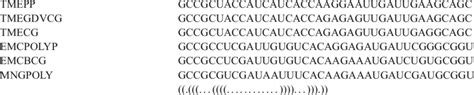 Multiple Sequence Alignment Of The Four Ranges Download Table