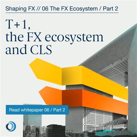 Shaping Fx Whitepaper Series T 1 The Fx Ecosystem And Cls Part 2 Cls Group