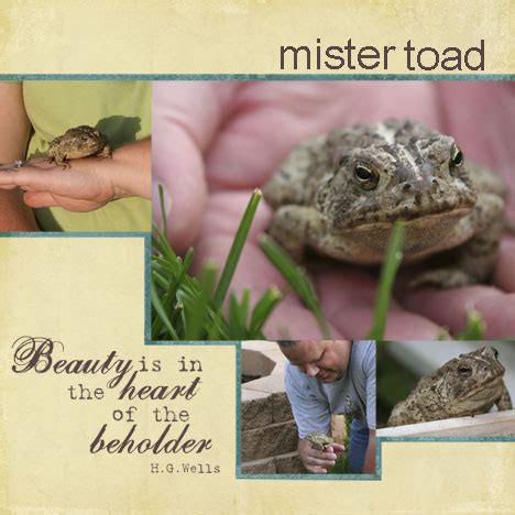 Beautiful Mister Toad My Creative Escape