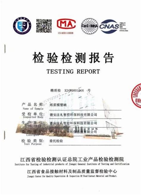 Eco Friendly Disposable Dinnerware Perfect For Parties