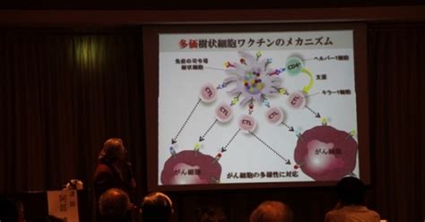 수지상세포 암백신 치료효과 발표 암세포만 공격