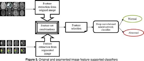 Figure 1 From A Convolutional Deep Neural Network Based Brain