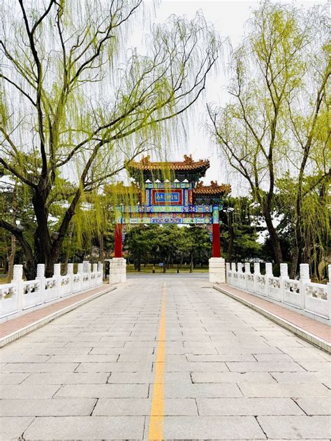 Steven Shi On Linkedin Chinesedevelopmentforum Cdf