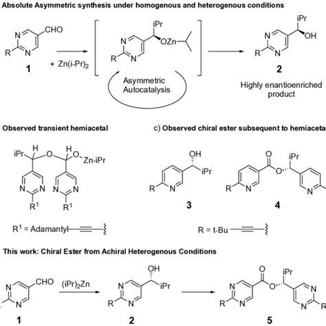Scheme 1 A Absolute Asymmetric Synthesis Initiated By Symmetry Download Scientific Diagram