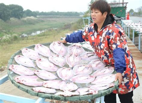 湖南岳阳晒鱼长廊成风景 人民图片网