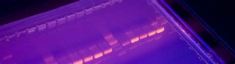 The Potential Of Decentralization