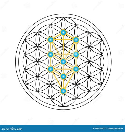 Tree Of Life Symbol Sacred Geometry