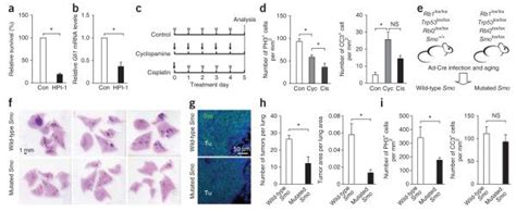 A Crucial Requirement For Hedgehog Signaling In Small Cell Lung Cancer