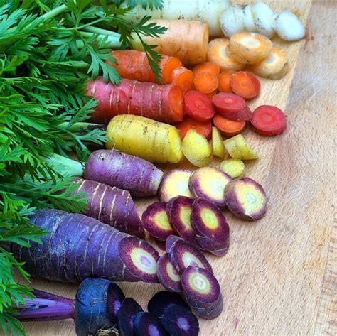 필인홈스 오색당근🥕 여러가지 색깔의 당근을 심어보세요~ 맛은 모두 비슷해요 그런데 텃밭에서