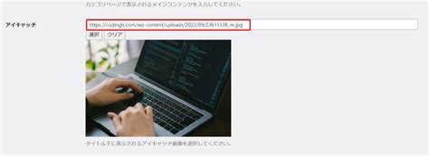 cocoonでカテゴリーのアイキャッチ画像を設定する方法と表示されない際の対処法 コーディングライフスタイル