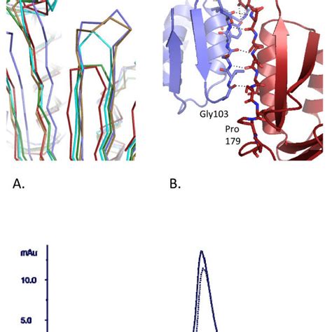 Interactions At The Monomer Monomer Interface A Superposition Of