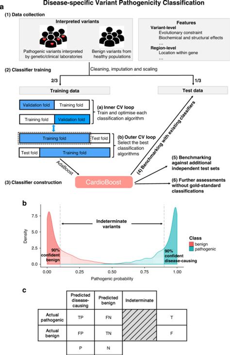 Disease Specific Variant Pathogenicity Prediction Significantly