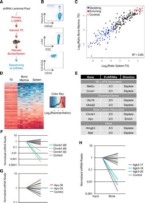 Figure 1 From Mit Open Access Articles In Vivo Rnai Screening Identifies A Leukemia Specific