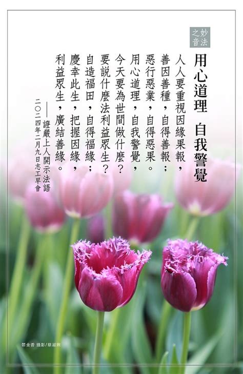 證嚴上人每日一叮嚀2024 02 26 1