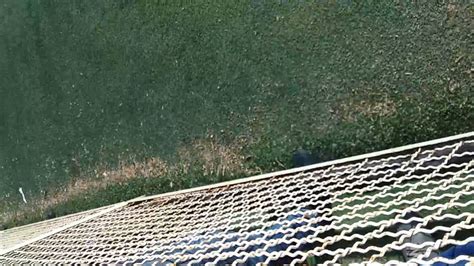 სპორტი ბარიერების გარეშე2018 თეთრიწყარო ფინალური თამაში By ახალი ხაიშის საჯარო სკოლა