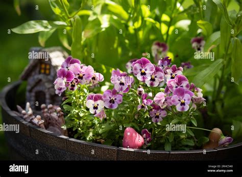 Feen Garten Fotos Und Bildmaterial In Hoher Auflösung Alamy