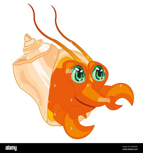 Crab In Seashell Stock Photo Alamy