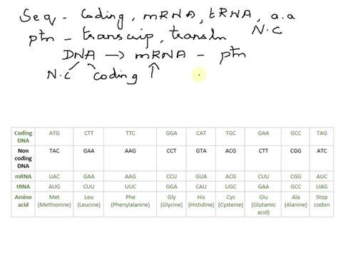 solved 22 write the complimentary mrna codons the trna anticodons