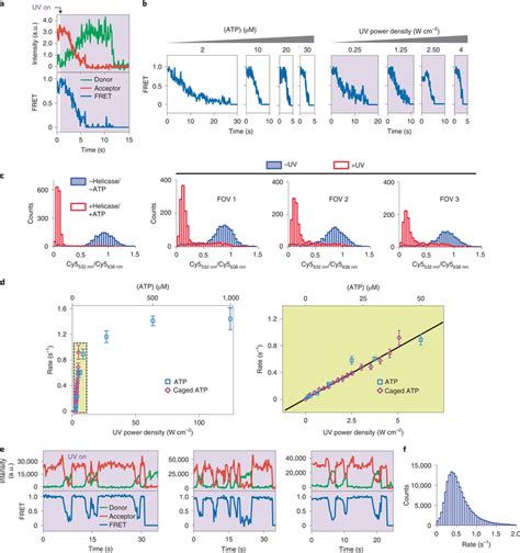 Smfret Observations Of Dna Unwinding By T4 Helicase Using Lagoon A