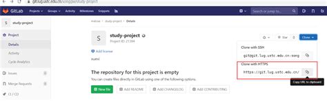IDEA第一次上传项目到gitlab 阿里云开发者社区