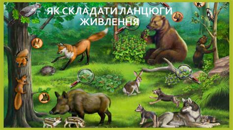 Як складати ланцюги живлення Youtube