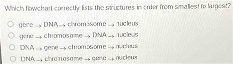 Solved Which Flowchart Correctly Lists The Structures In Order From