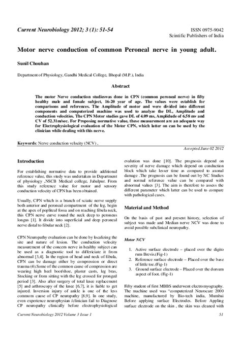 Pdf Motor Nerve Conduction Of Common Peroneal Nerve In Young Adult