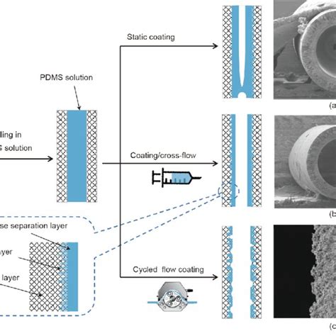 Separation Performance Of The Inner Surface Pdms Ceramic Hf Composite Download Scientific