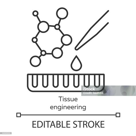 조직 공학 선형 아이콘입니다 손상된 인간의 장기를 복구합니다 재생 의학 생명 공학 가는 선 그림입니다 등고선 기호입니다 벡터 절연 윤곽선 도면 편집 가능한 스트로크 아이콘에