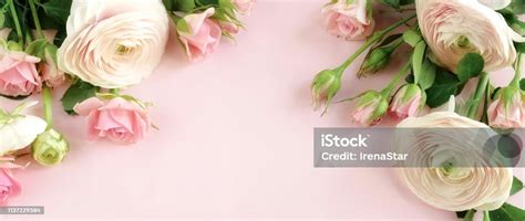 꽃 배경입니다 분홍색 꽃 장미와 창백한 분홍색 배경에 Ranunkulus 꽃다발 평면도 복사 공간 휴일 개념 0명에 대한 스톡 사진 및 기타 이미지 Istock