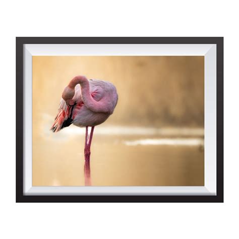 Photographic Print Scratch By Daniele Dellosa