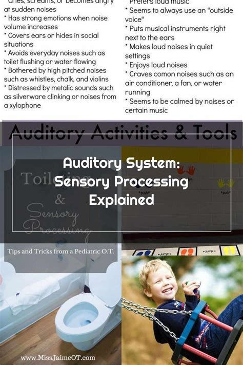 Sensory Processing Auditory System Sensory Processing Explained