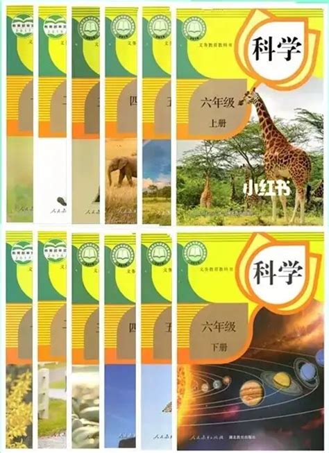 全套人教鄂教版小学科学电子课本教材大全PDF电子版 学习力