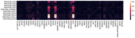 Pbmc Cite Seq Unbiased Feature Selection — Scmer 01 Documentation