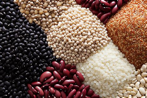 곡물 한 접시에 다양한 종류의 콩 검은 콩 작살 다양성 배경 일러스트 및 사진 무료 다운로드 Pngtree