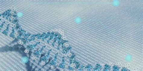 Sex Differences In Human Gene Expression The Scientist