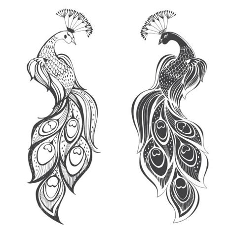 Peacock Illustrations Royalty Free Vector Graphics And Clip Art Istock