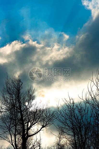 蓝色天空和太阳的树木休眠高清图片下载 正版图片320971541 摄图网