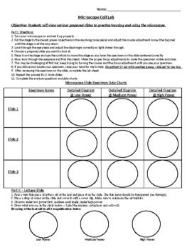 Microscope Cell Lab By Robin Hencken TPT