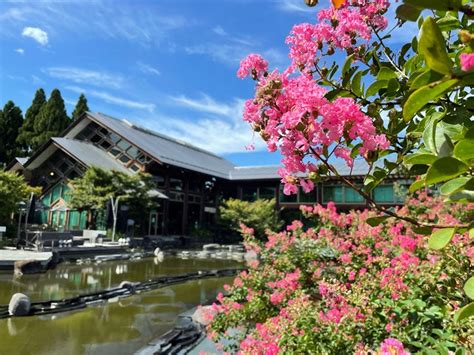 朱雀の庭の百日紅 京都ちゅーすけのブログ