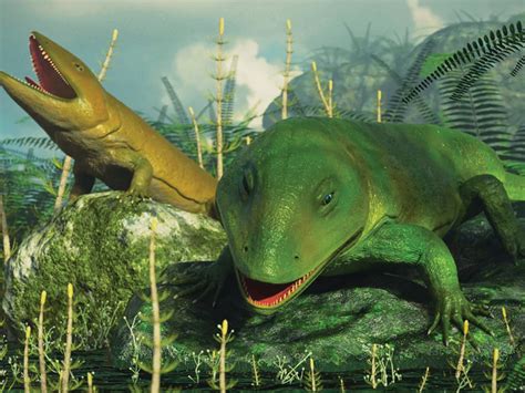 Fossil Record Transitional Fossils