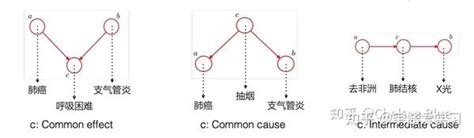 深度神经网络中的因果推理 知乎