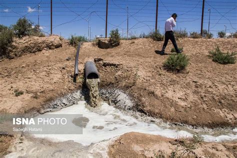 خبرآنلاین تصاویر آبیاری زمین‌های کشاورزی با آب‌ آلوده به فاضلاب