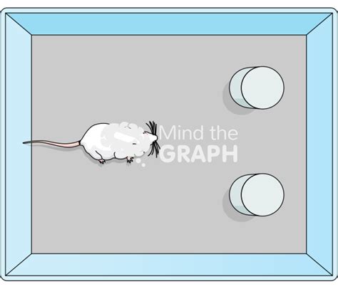 Free Object Recognition Test Icons Symbols Pictures And Images Mind The Graph