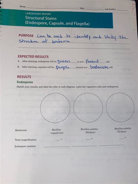 Solved Name Date Lab Section LABORATORY REPORT Structural Chegg Com