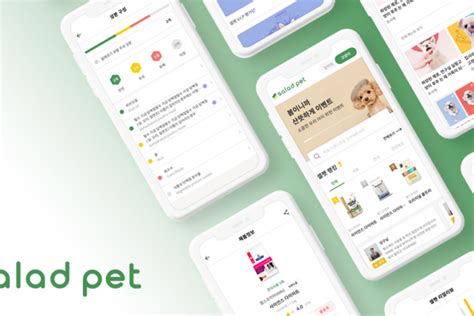 수의사 펫푸드 플랫폼 ‘샐러드펫 한국벤처투자에서 시드투자 유치 스타트업 스토리 플랫폼 플래텀platum
