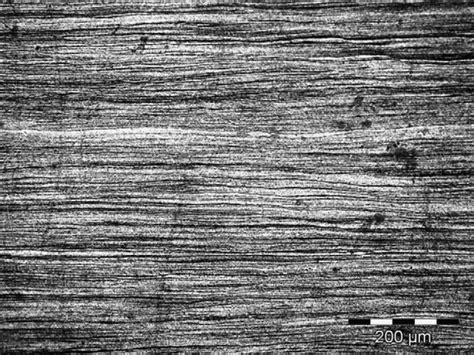 Typical Fibrous Microstructure Of 90 Cold Rolled Specimen In Through